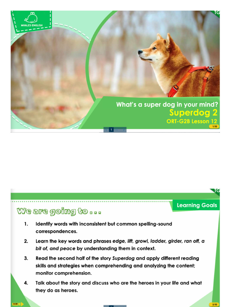 L12 Superdog 2 | PDF