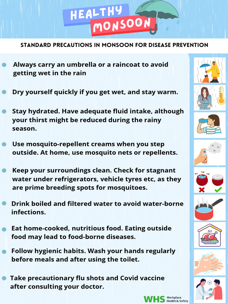 Healthy Monsoon Disease Precautions | PDF