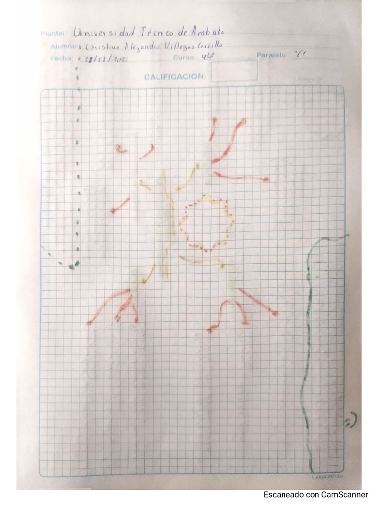 Ape 5 Christian Villegas | PDF