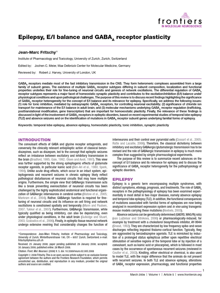 Epilepsy, E/I Balance and GABA Receptor Plasticity: Jean-Marc Fritschy ...