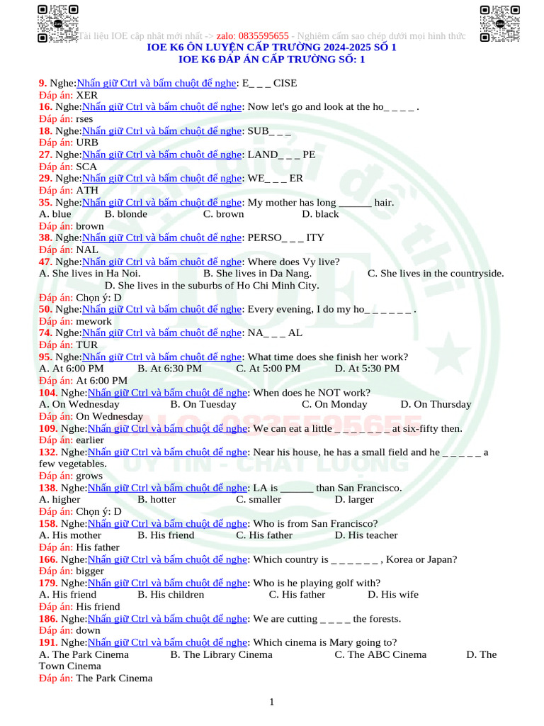 Ioe k6 2024-2025 New de Nghe Dap An | PDF