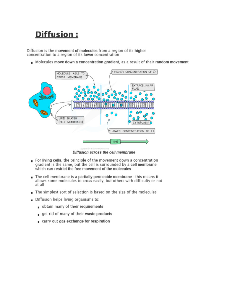 Diffusion and Osmosis | PDF | Diffusion | Osmosis