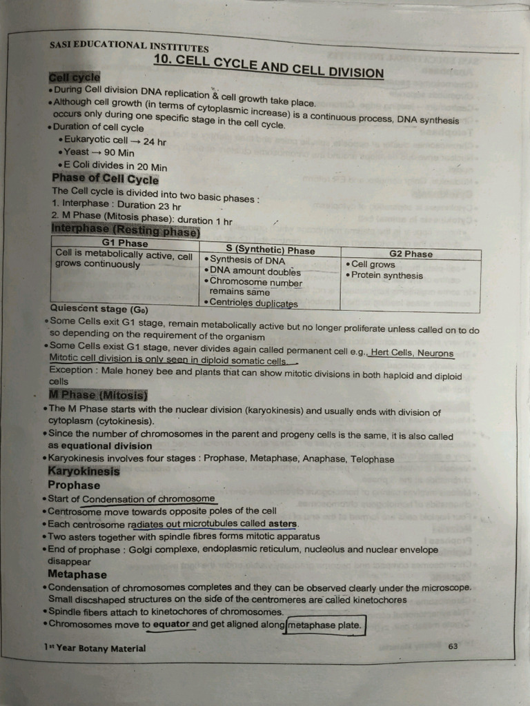 Cell | PDF