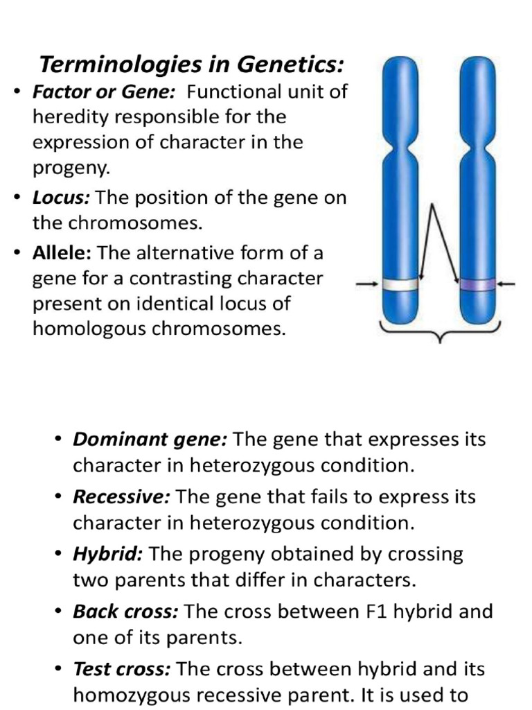 Principle of Inheritance and Variations | PDF | Genotype | Dominance ...