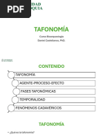 Procesos de Fosilización y Tafonomía | PDF | Fósil | Paleontología