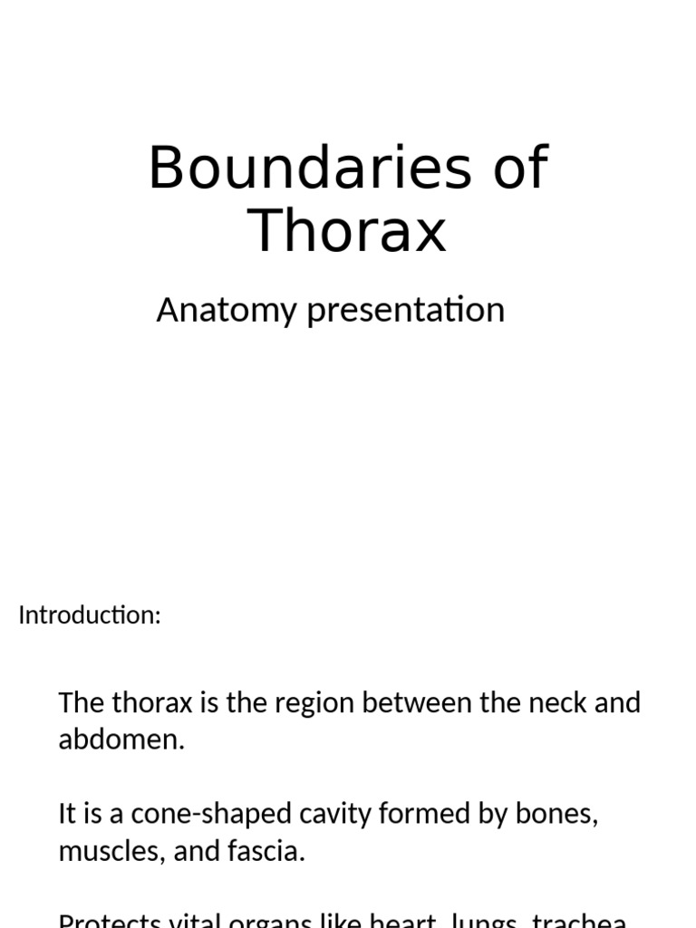 Boundaries of thorax,NAME:Ankitha Sharon,Bhms 1st year ,year:2024-2025 ...