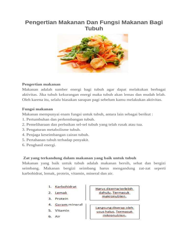 Fungsi dan Zat Penting dalam Makanan | PDF