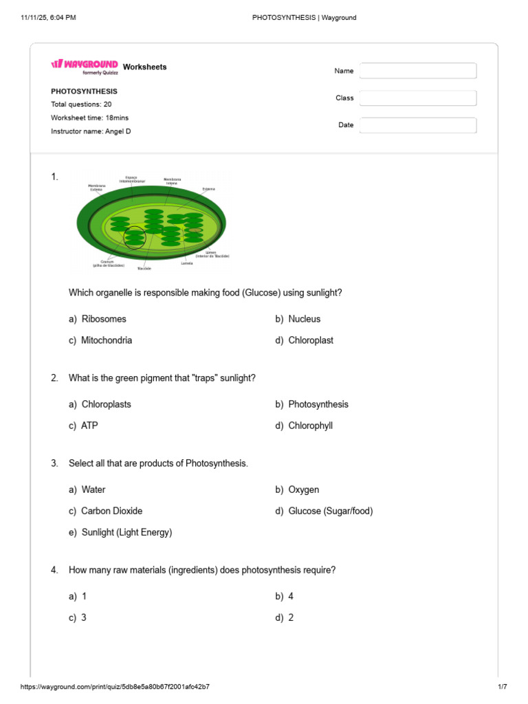 Photosynthesis Worksheet Quiz | PDF | Photosynthesis | Chloroplast
