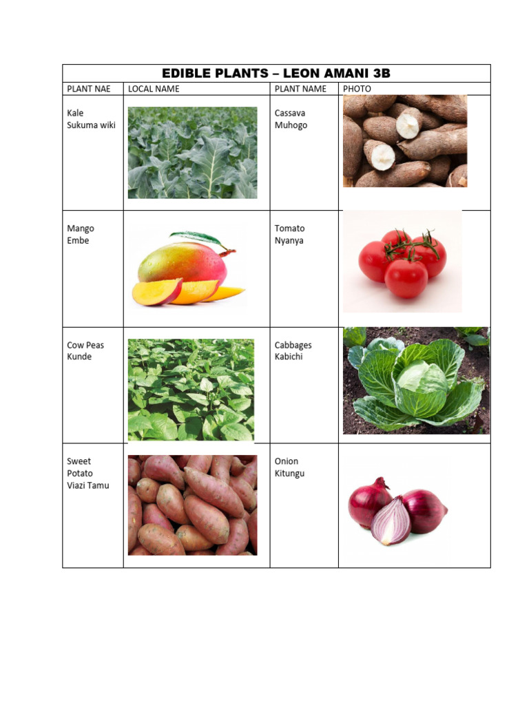 Edible and Non-Edible Plants Guide | PDF