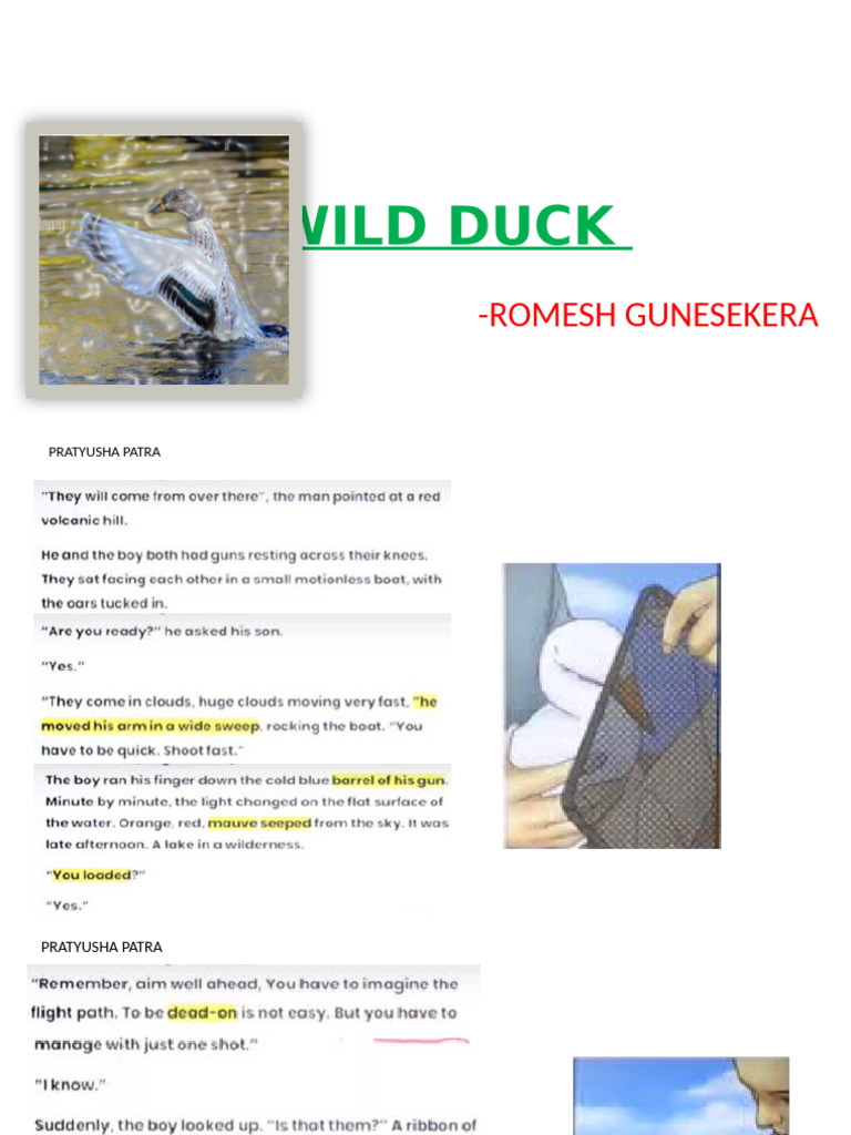 Wild Duck | PDF