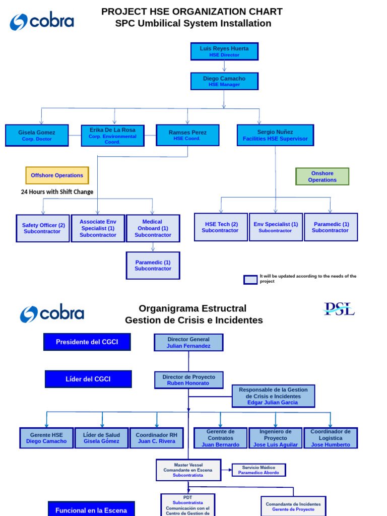 Organization Chart PMT - Cobra | PDF | Business