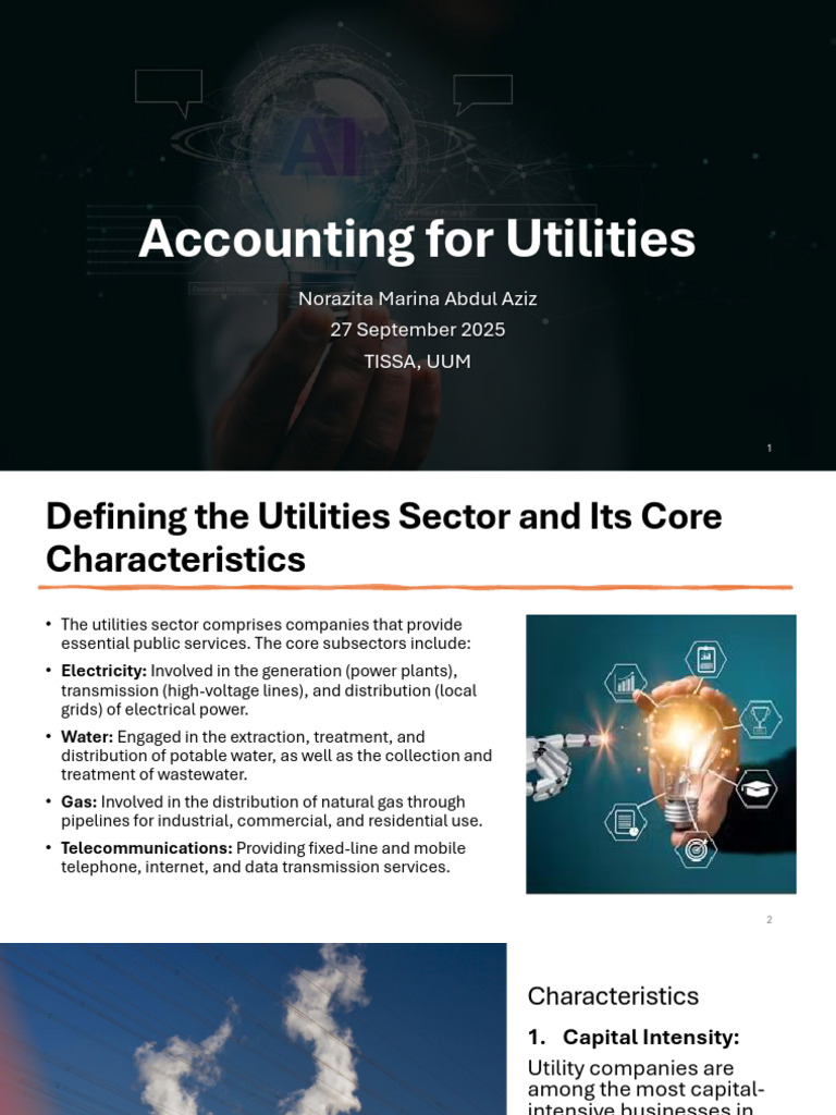 Utilities Sector Accounting Overview | PDF | International Financial ...