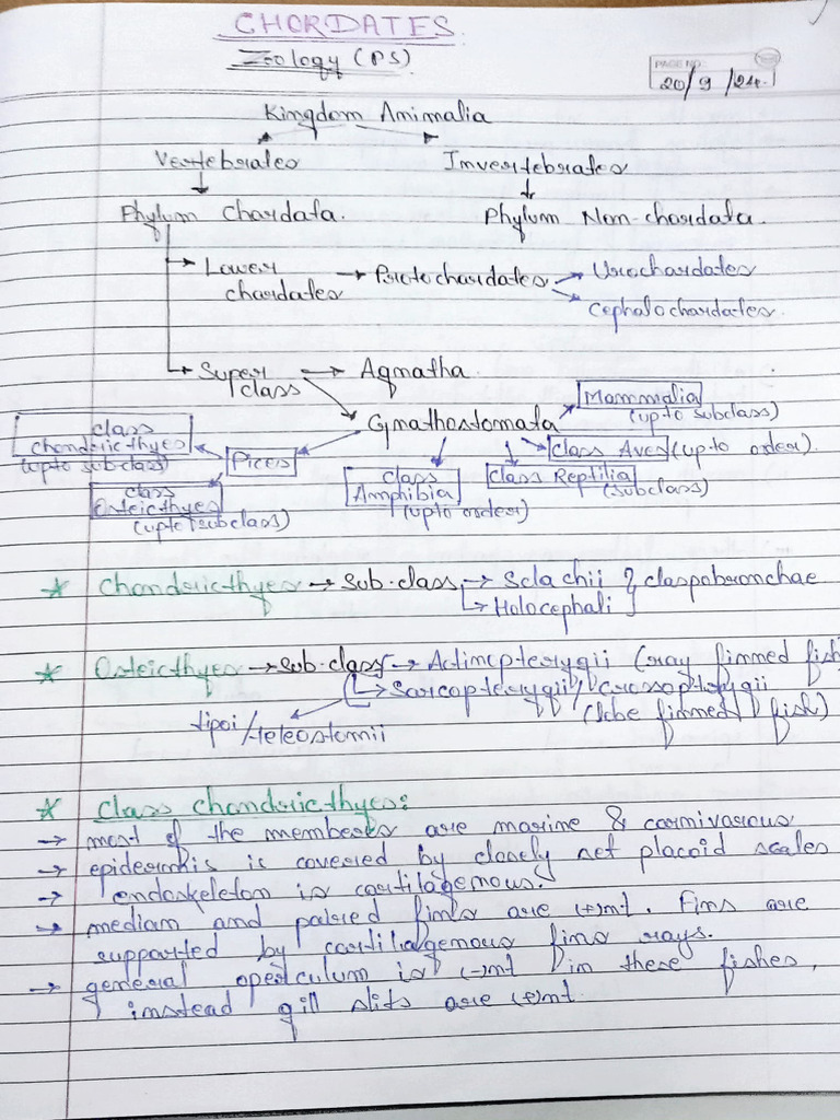 Zoology PS Ma'Am | PDF
