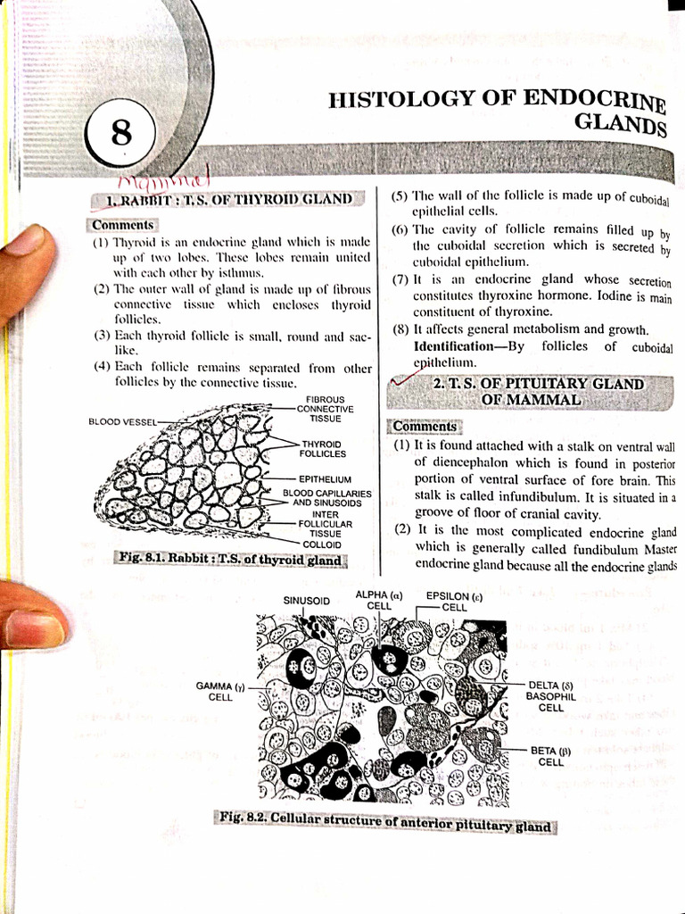 Zoology Practical Written Work | PDF