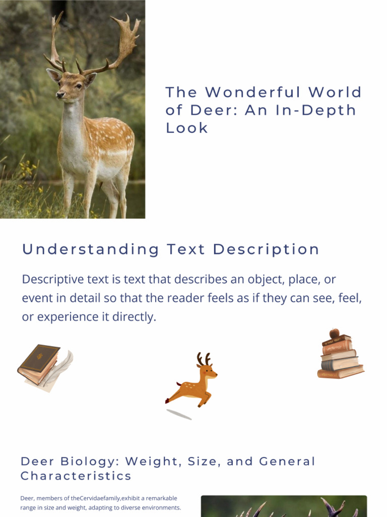 Power Point Bahasa Inggris Deer - 20250923 - 014914 - 0000 | PDF