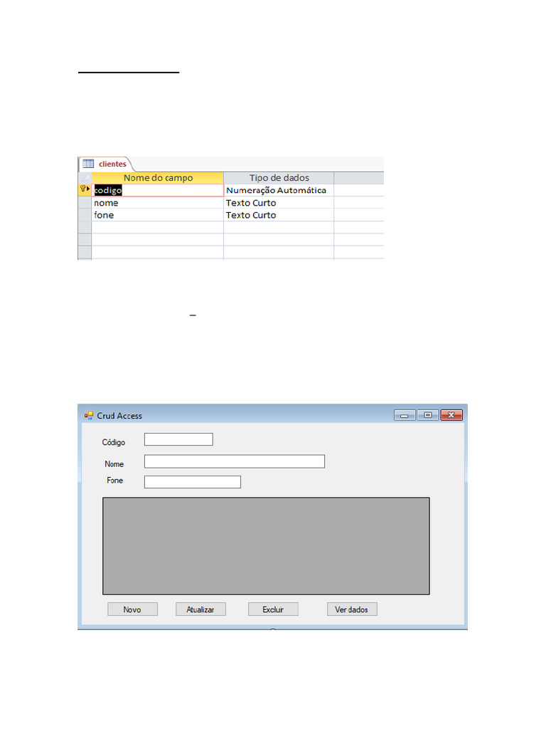 CRUD Access em C# com Visual Studio | PDF