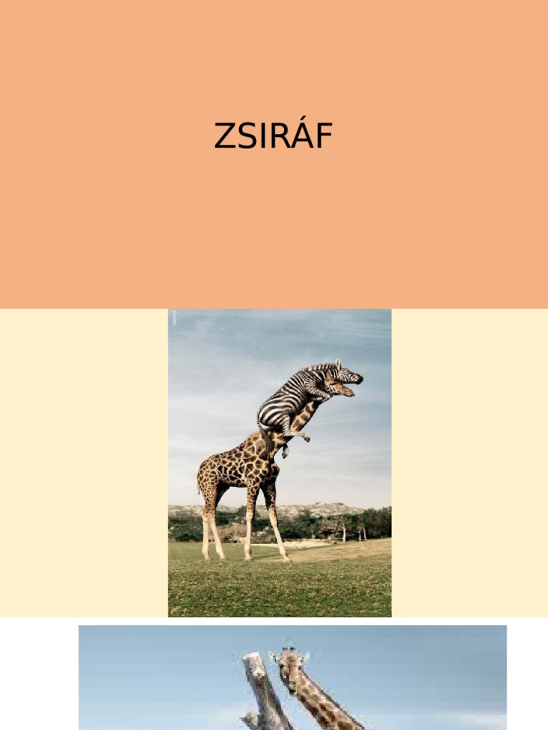 ZSIRÁF | PDF