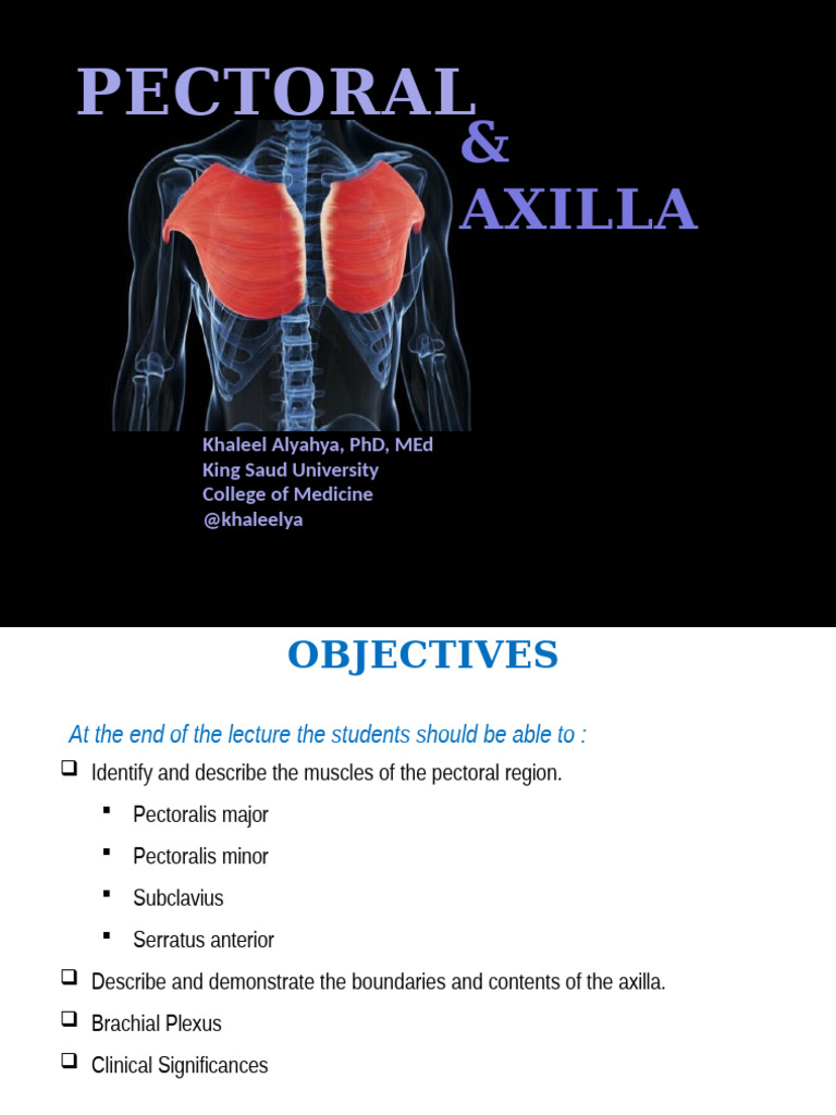 L5) Pectoral Region and Axilla | PDF | Arm | Human Anatomy