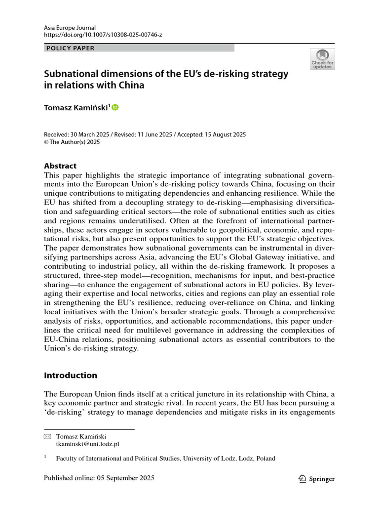 s10308-025-00746-z | PDF | Risk | Governance