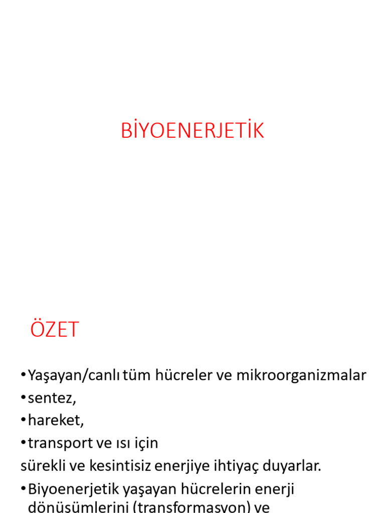 Bi Yoen Erji Tik | PDF