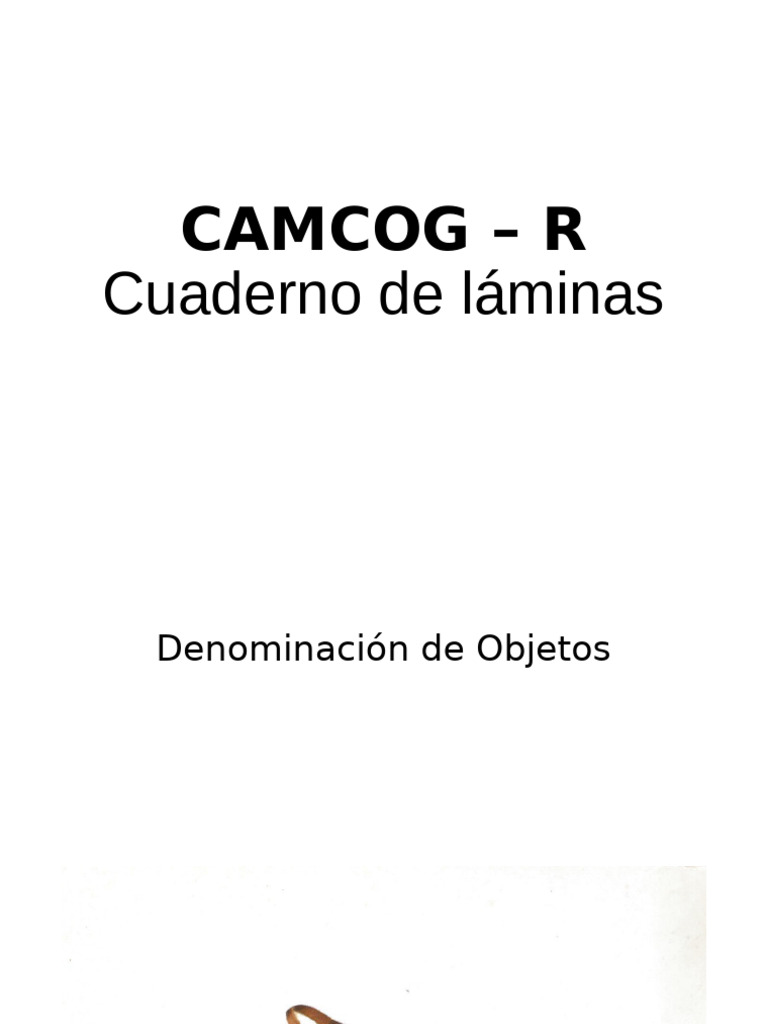 Cuaderno de Razonamiento Visual CAMCOG | PDF