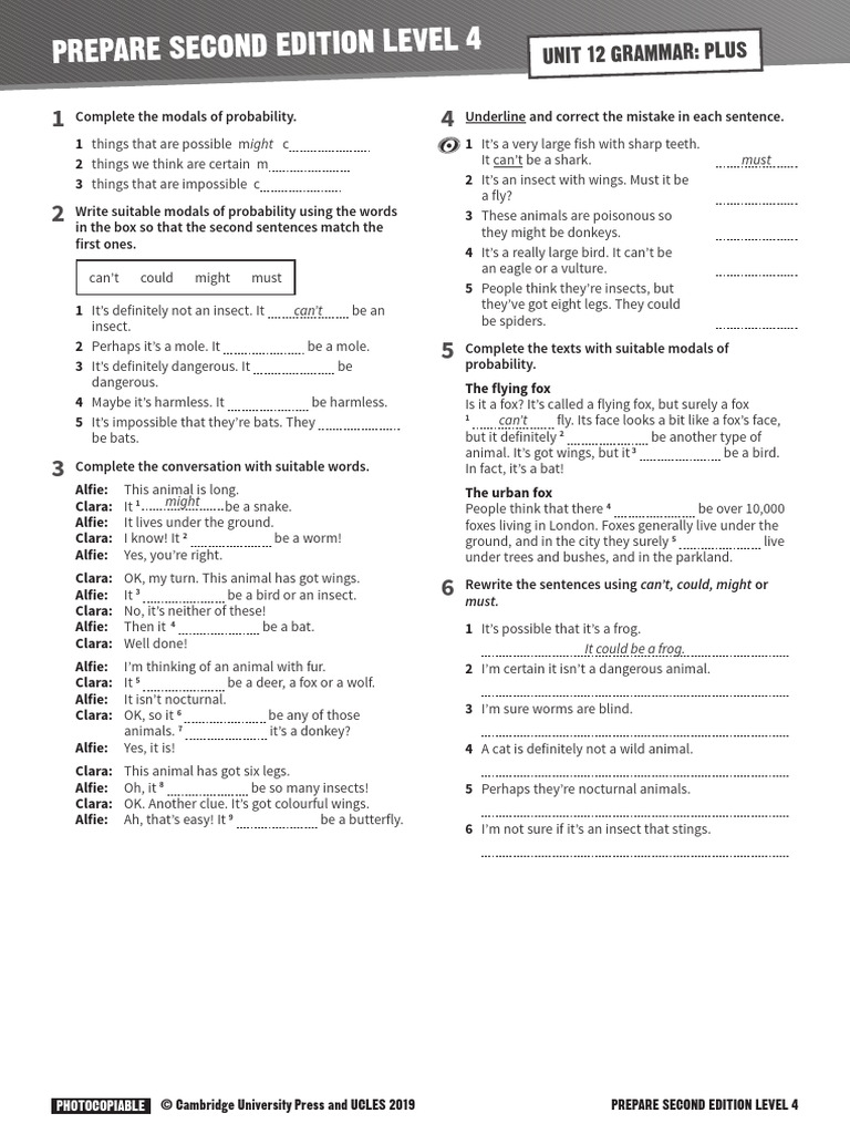 PREPARE 4 Grammar Plus Unit 12 | PDF | Zoology