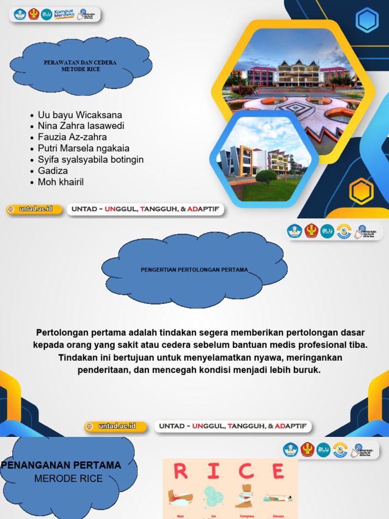 Metode RICE untuk Pertolongan Pertama | PDF