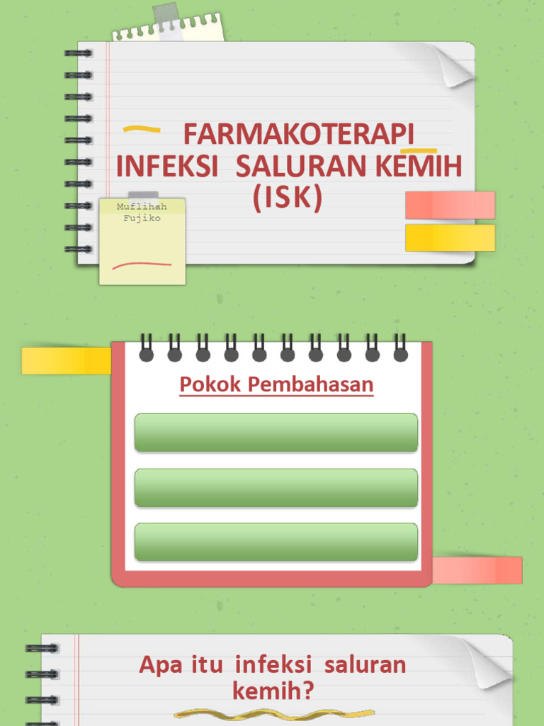Infeksi Saluran Kemih | PDF