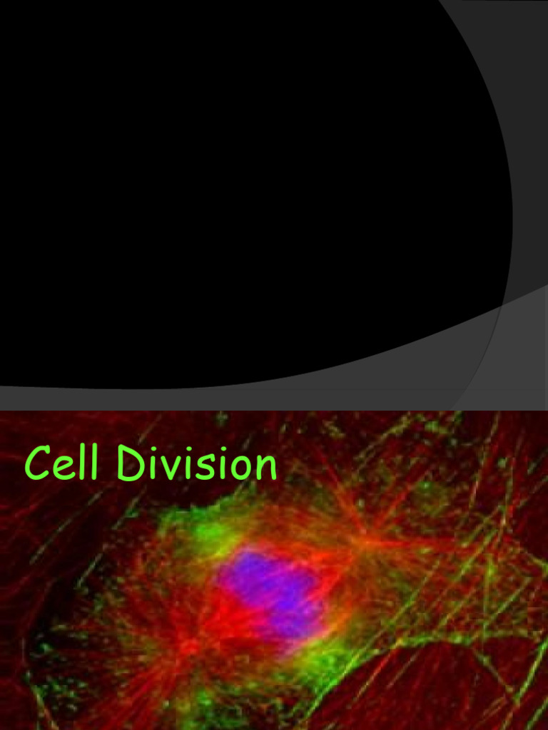 PDF Lecture 9 Cell Division | PDF | Dna Replication | Mitosis