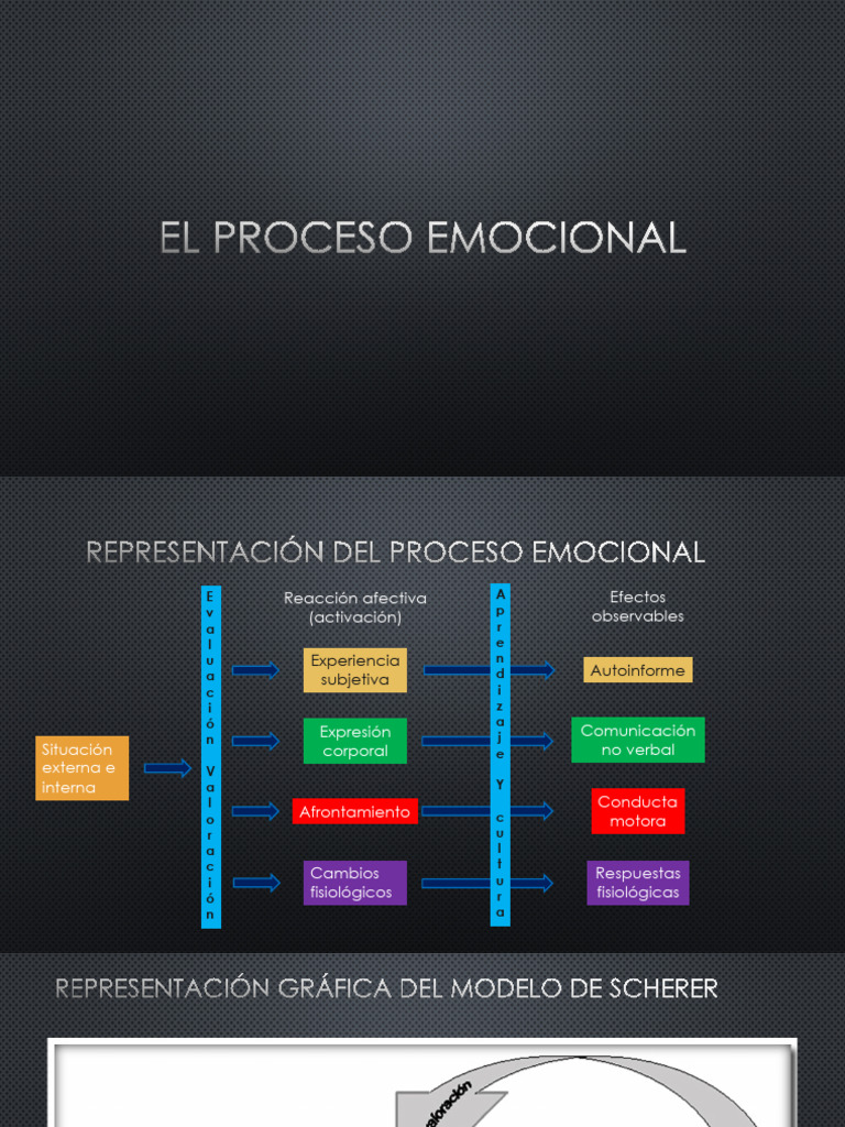 Proceso Emocional 2b | PDF | Las emociones | Motivacional