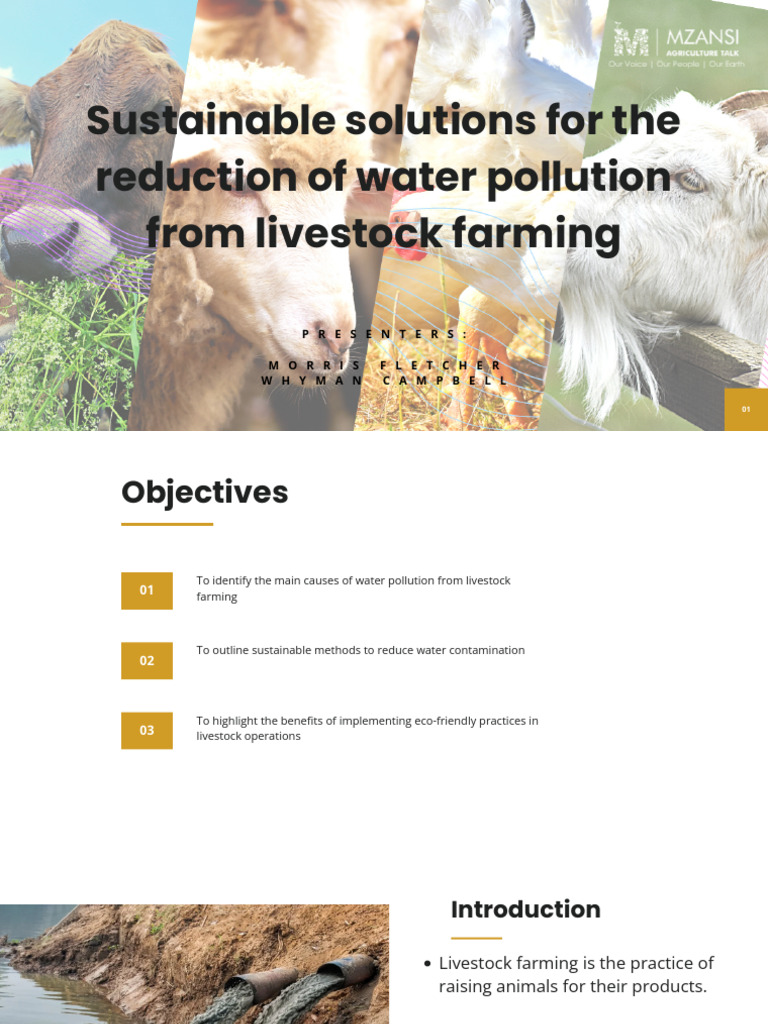Sustainable Solutions For The Reduction of Water Pollution From ...
