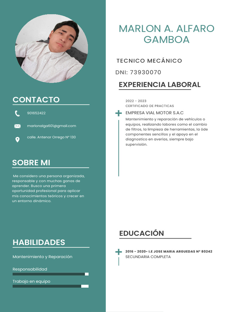 Cv Marlon Alfaro_20250908_085041_0000 (1) | PDF