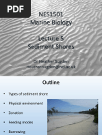 Sandy Beach Ecosystems Explained | PDF | Beach | Coast