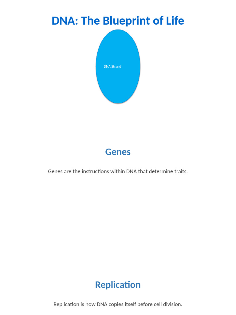 Understanding DNA: Genes, Replication, Mutations | PDF