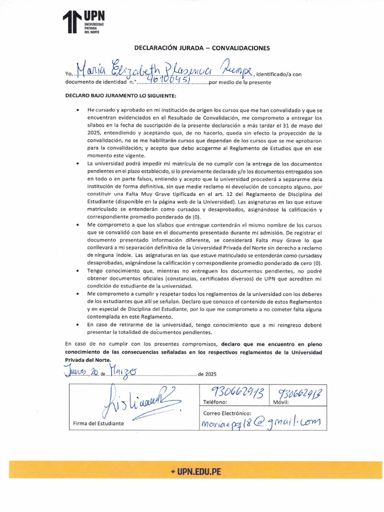 Maria Elizabeth Plasencia Quispe | PDF
