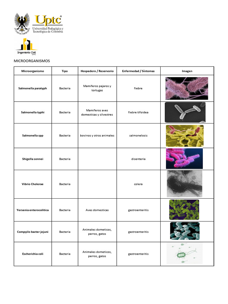 TALLER LODOS | PDF | Salmonela | Diarrea