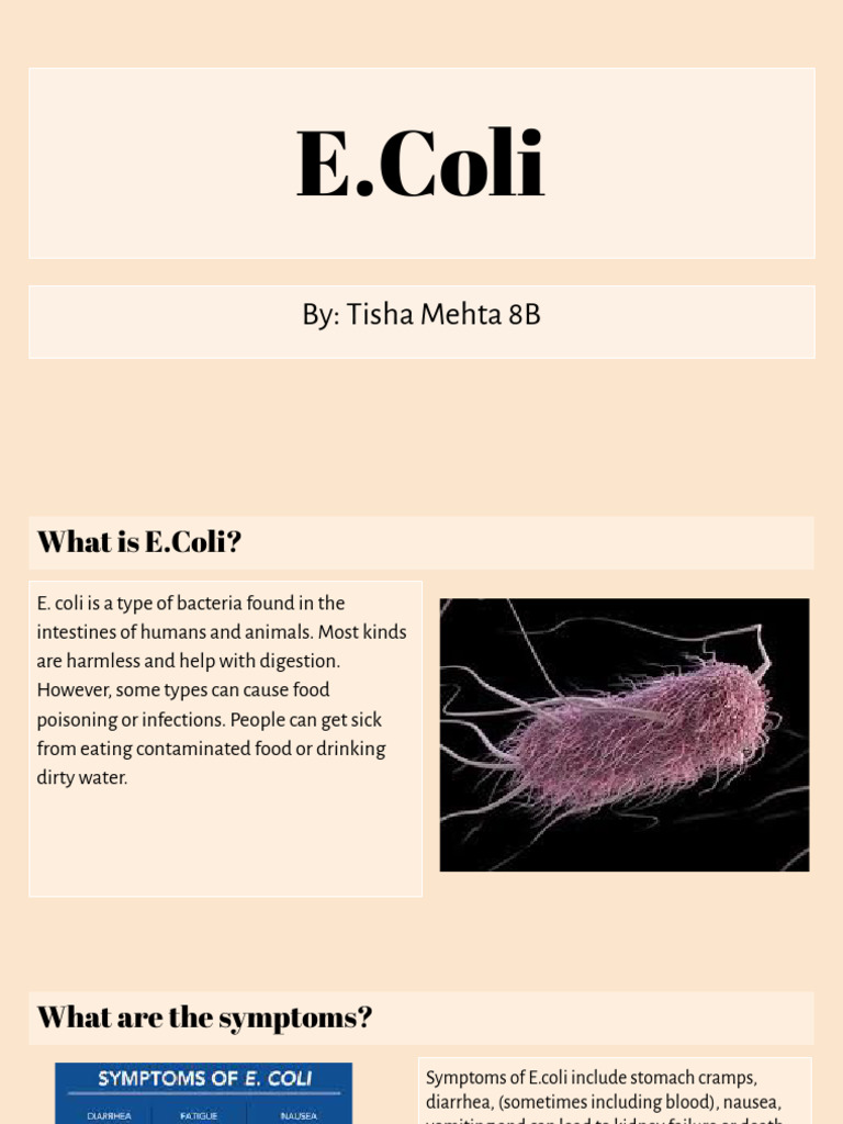 Food Poisoning Bacteria - Case Study E Coli - Tisha Mehta 8B | PDF ...