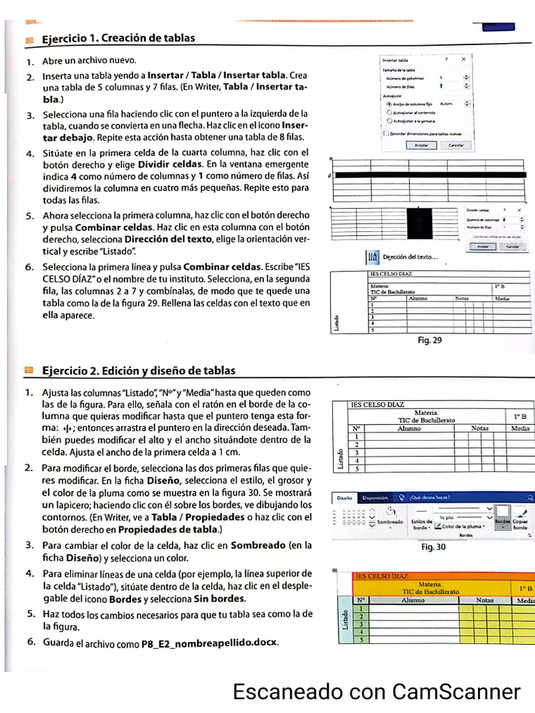 Práctica 13 Tablas Y Formularios Pdf