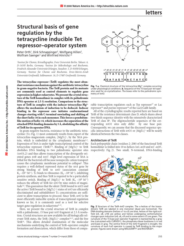 TetR Structure and Gene Regulation Insights | PDF | Alpha Helix | Repressor