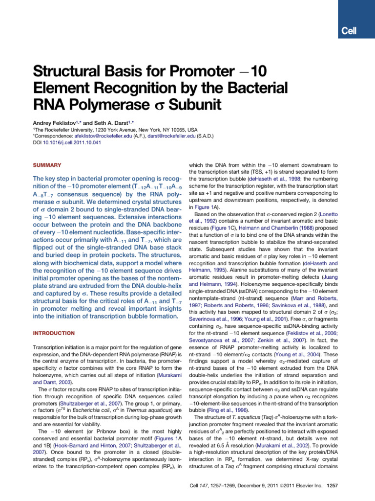 Bacterial RNA Polymerase σ Subunit and Promoter Recognition | PDF ...