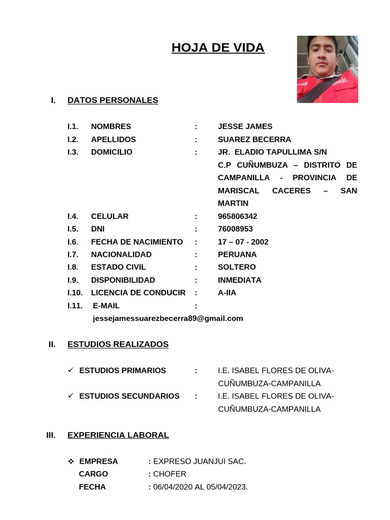 Curriculum Vitae JAMES 2024 | PDF