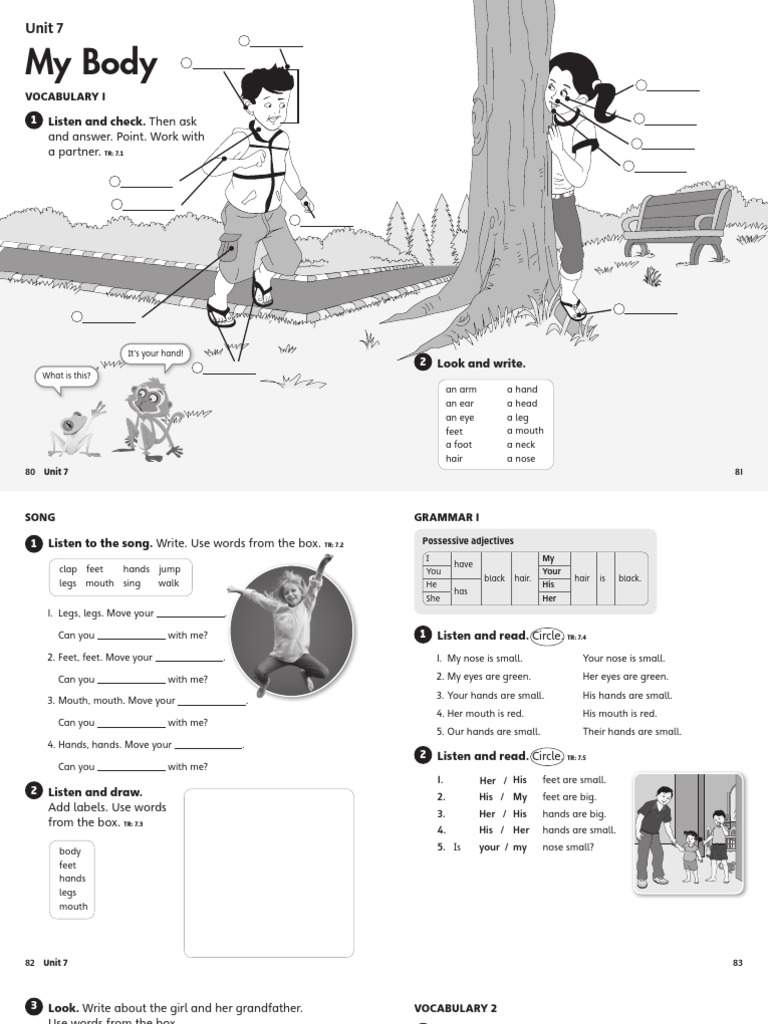 Our World 2E AmE L1 U7 Workbook | PDF | Bears