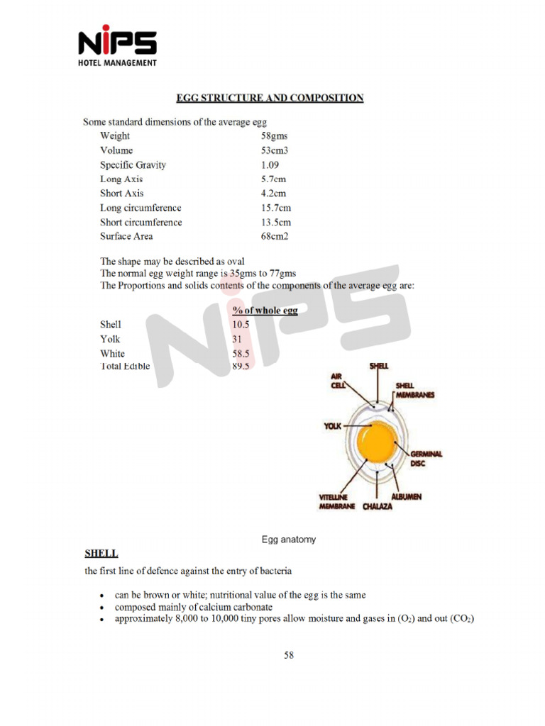 FP Egg Structure and Composition 01-06-04 06 | PDF | Breads | Egg White