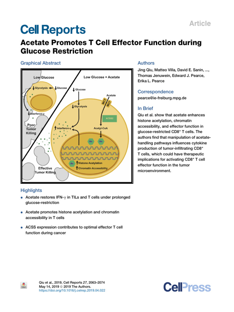 Acetate Promotes T Cell Effector Function During Glucose Restriction ...