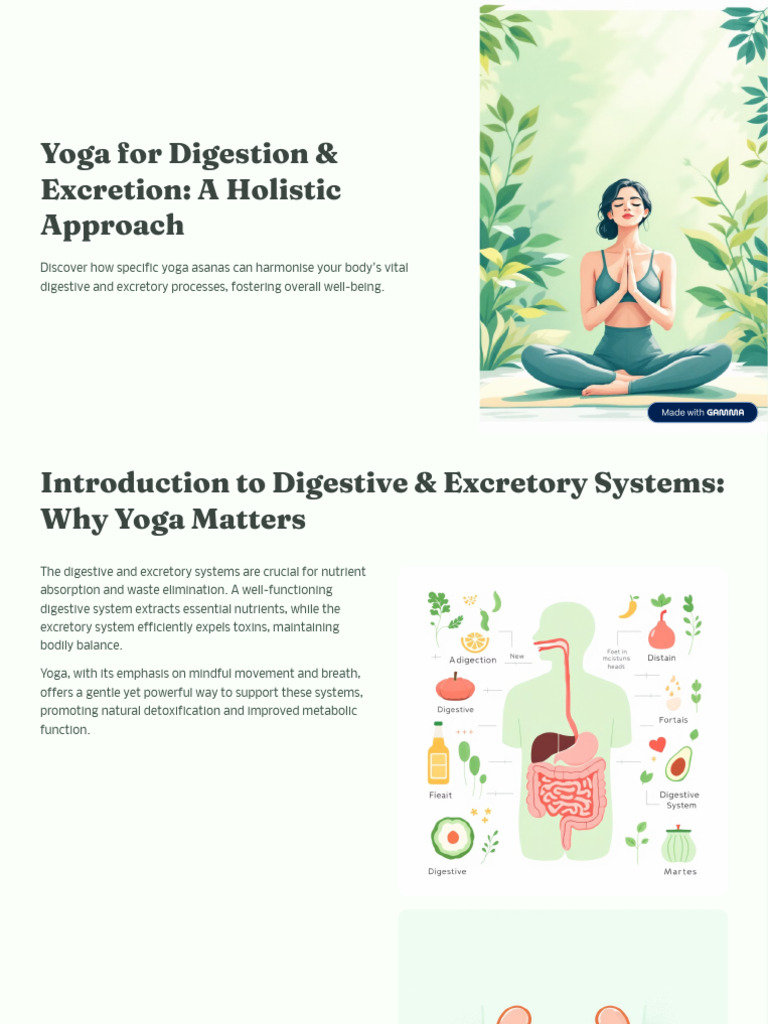 Yoga For Digestion and Excretion A Holistic Approach | PDF | Excretion ...