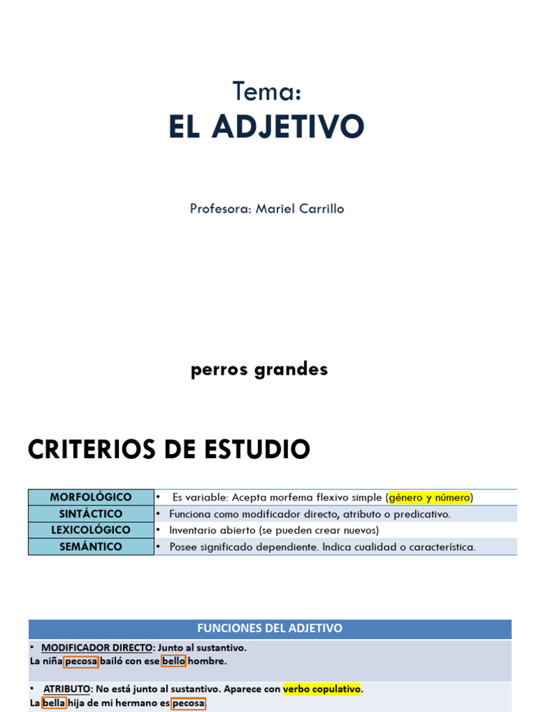 Adjetivo, Determinantes y Pronombres | PDF | Adjetivo | Sustantivo