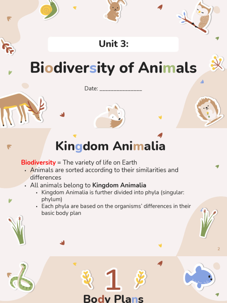 Understanding Animal Biodiversity | PDF | Invertebrate | Tissue (Biology)