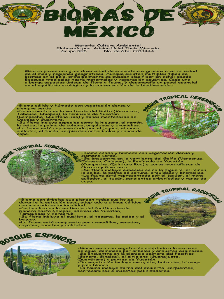 Biomas de México: Diversidad Ecológica | PDF | México | Ecología