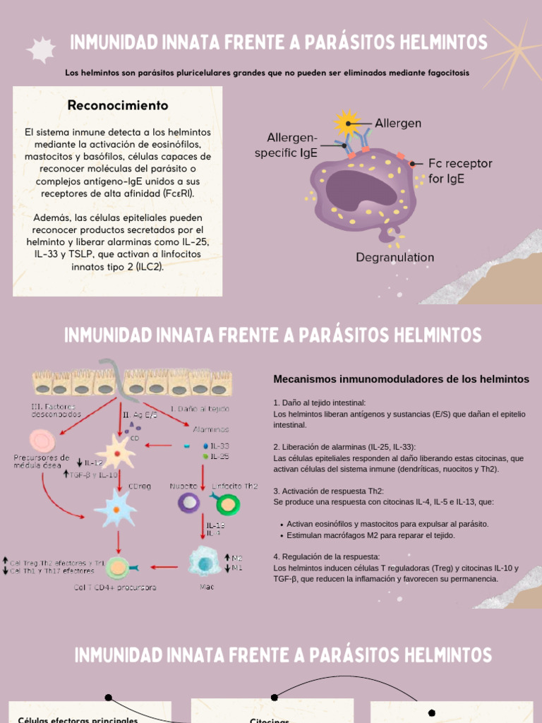Pathogens and Communicable Diseases Education Presentation in Light ...