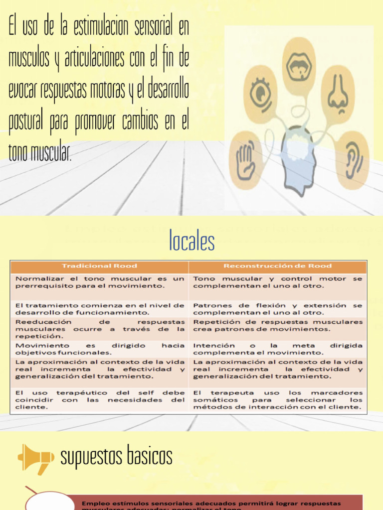 Tecnica de Rood | PDF